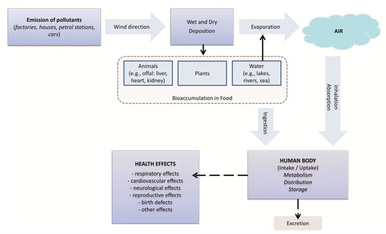 Lead Toxicity and Pollution in Poland