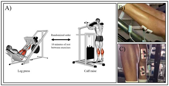 Multi- and Single-Joint Resistance Exercises Promote Similar Plantar ...