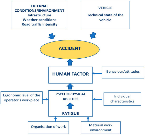The Importance of the Human Factor in Safety for the Transport of ...