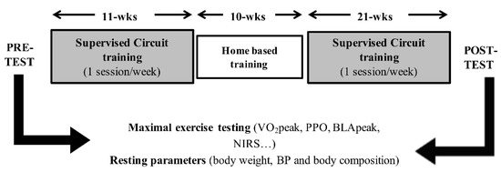 IJERPH | Free Full-Text | Effects of Regular Long-Term Circuit Training ...
