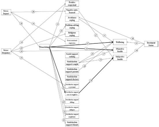 IJERPH | Free Full-Text | When Your Child Has Cancer: A Path-Analysis ...