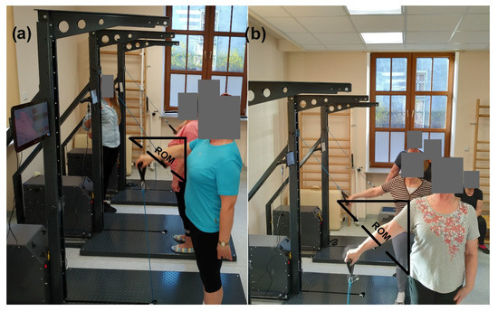 IJERPH | Free Full-Text | Impact of Inertial Training on Muscle ...