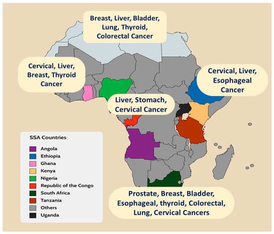 Air Quality and Cancer Prevalence Trends across the Sub-Saharan African ...
