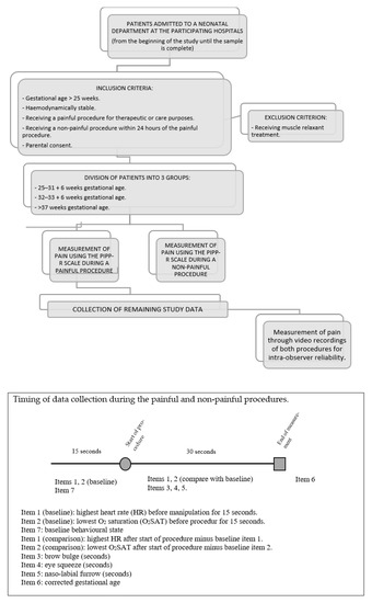 IJERPH | Free Full-Text | Cultural Adaptation and Validation of the ...