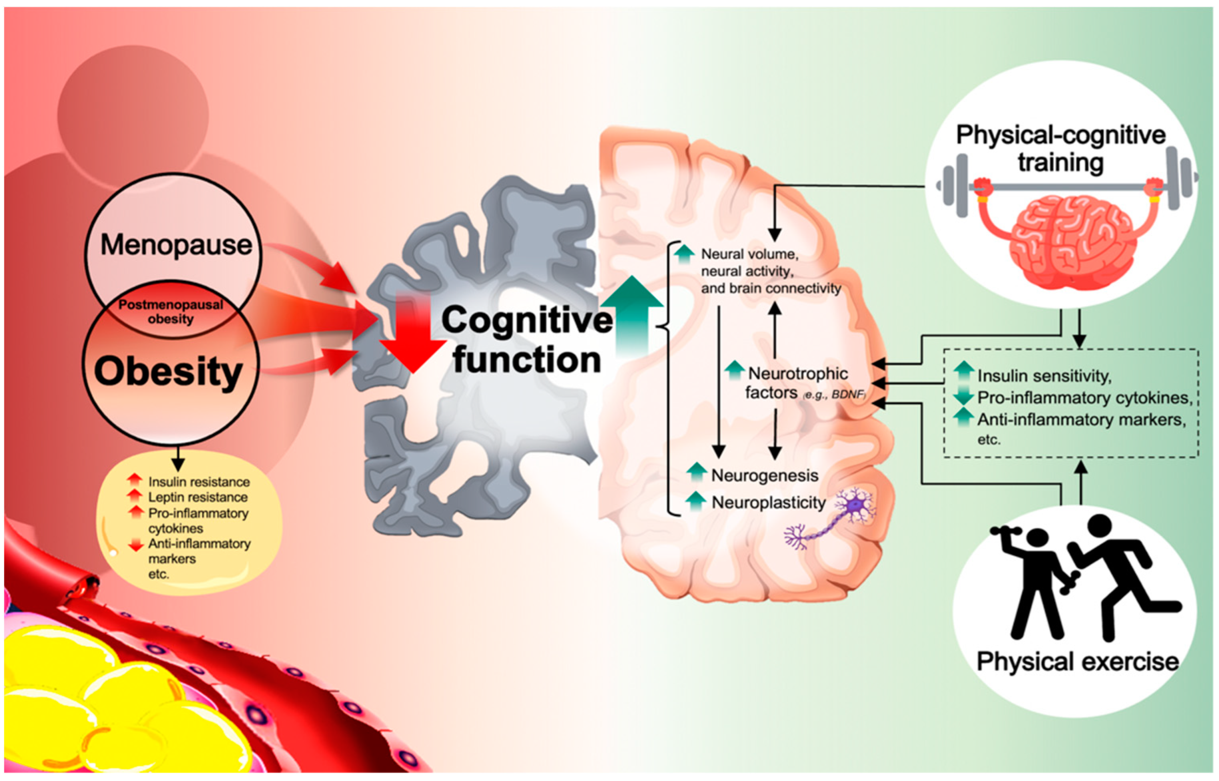 IJERPH Free Full Text Cognitive Benefits Of Physical Exercise IJERPH Free Full Text Cognitive Benefits Of Physical Exercise