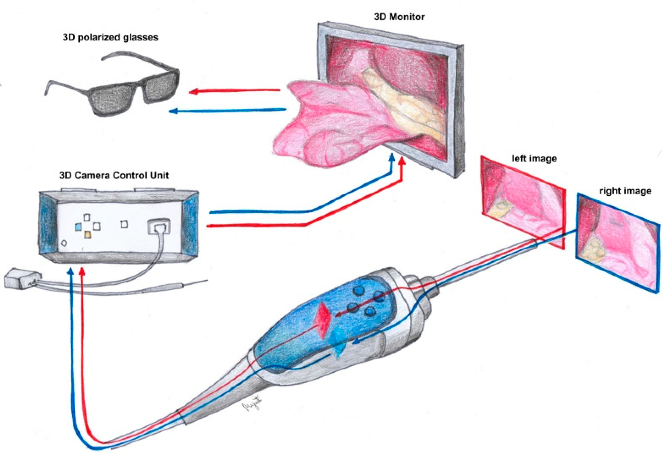 IJERPH Free Full Text Safety Of Three Dimensional Versus Two IJERPH Free Full Text Safety Of Three Dimensional Versus Two
