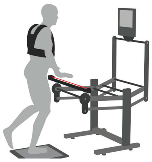 Evaluation of the Functional Status of the Posture Control System in ...