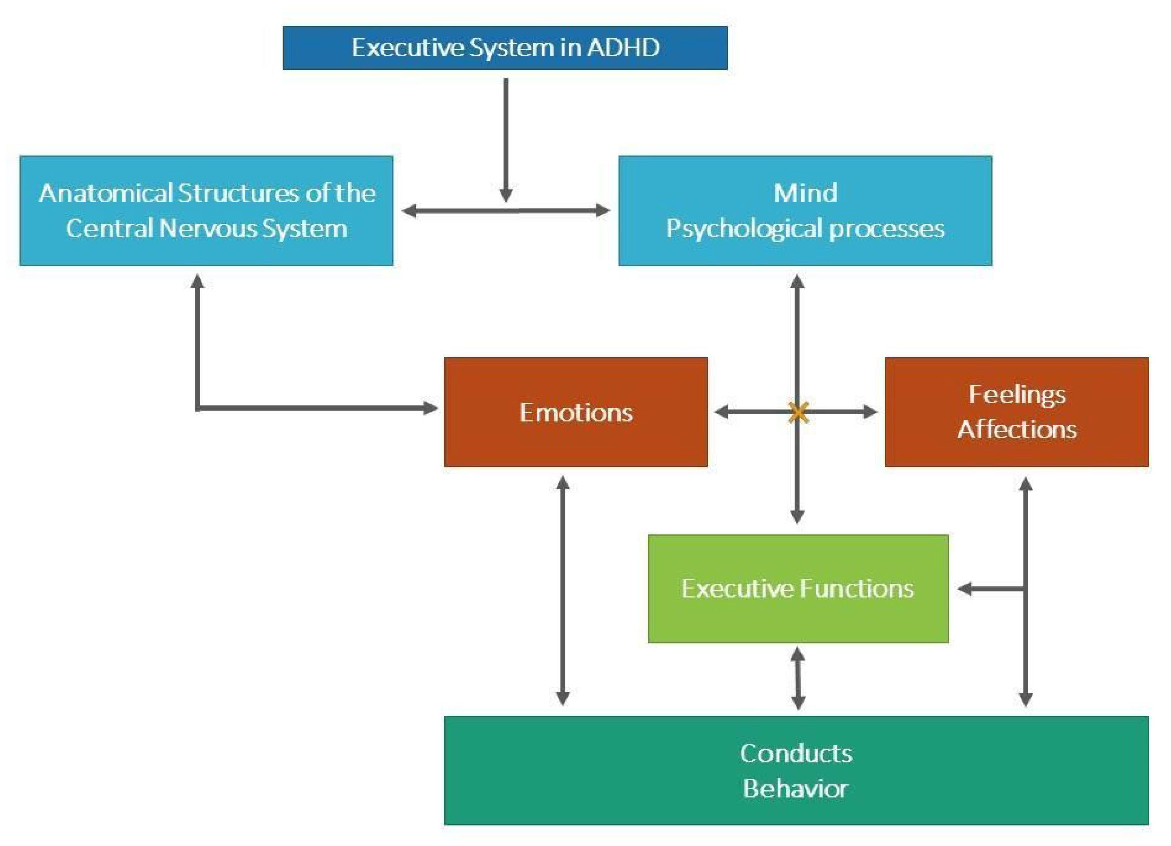 IJERPH Free Full Text Proposal For An Integrative Cognitive IJERPH Free Full Text Proposal For An Integrative Cognitive