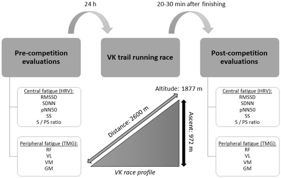 Central and Peripheral Fatigue in Recreational Trail Runners: A Pilot Study