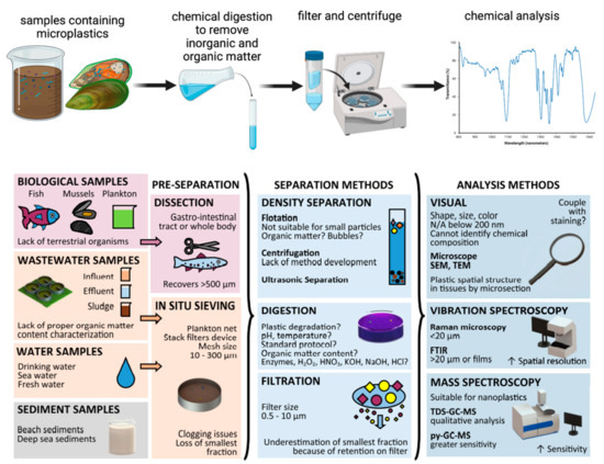 Microplastic Pollution: Chemical Characterization and Impact on Wildlife