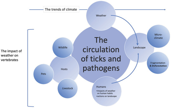 IJERPH | Free Full-Text | An Agenda for Research of Uncovered ...
