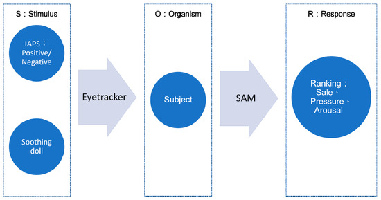 Consumer Visual and Affective Bias for Soothing Dolls