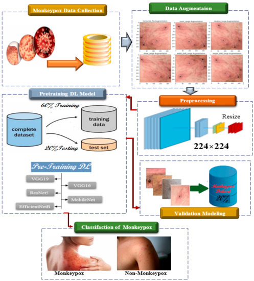 Automated Monkeypox Skin Lesion Detection Using Deep Learning and Transfer Learning Techniques