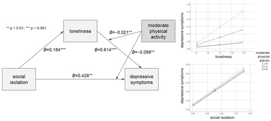 The Effect of Social Isolation, Loneliness, and Physical Activity on ...