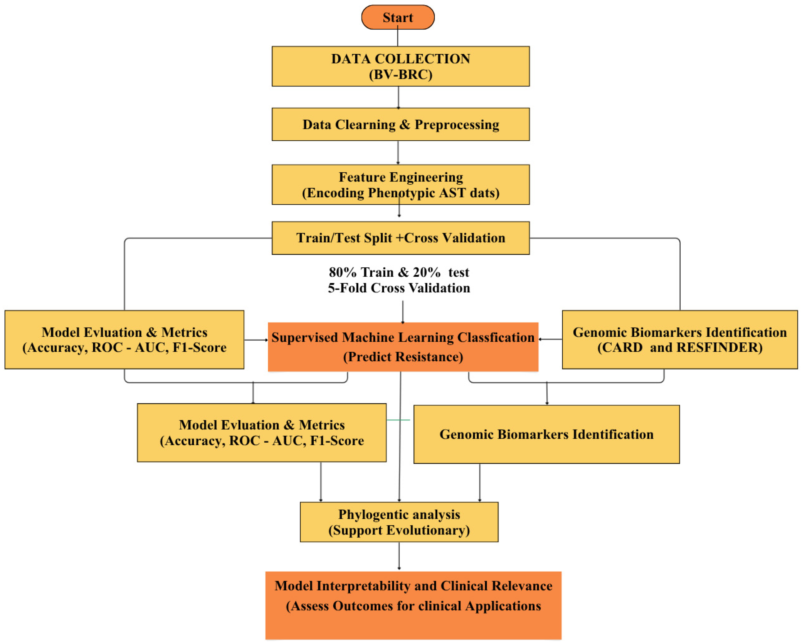 Integrating Phenotypic and Genomic Data with Machine Learning to ...