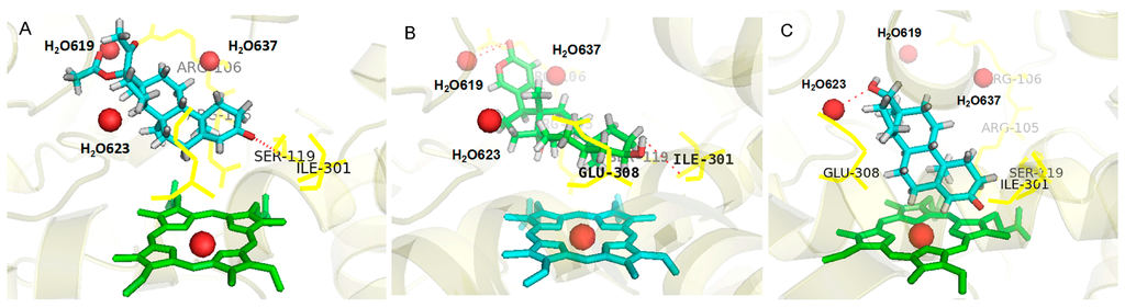 A Mechanism-Based Model for the Prediction of the Metabolic Sites of ...