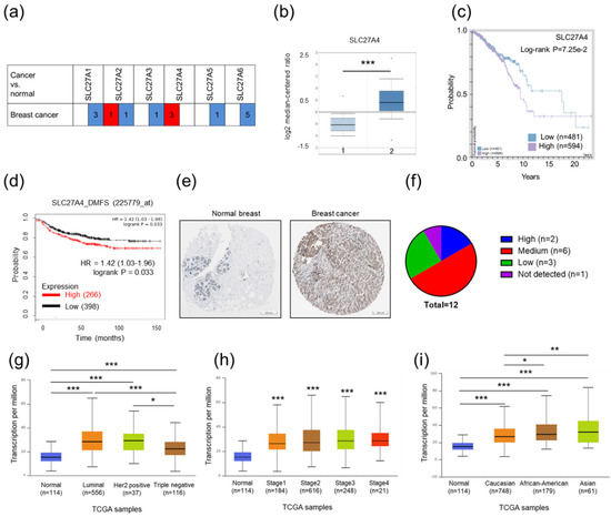 IJMS | Free Full-Text | Solute Carrier Family 27 Member 4 (SLC27A4 ...