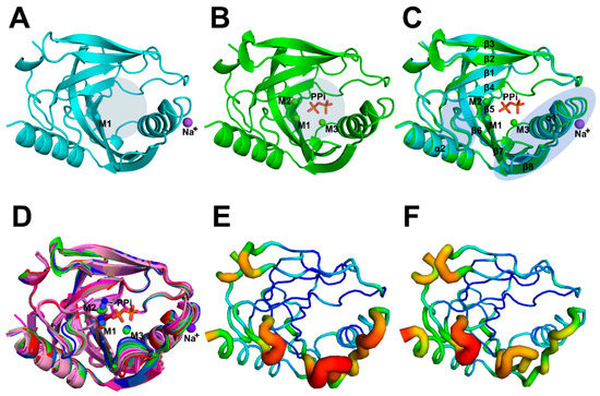 Crystal Structures of Pyrophosphatase from Acinetobacter baumannii ...
