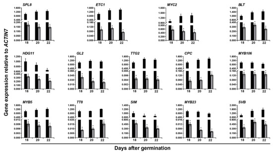 Genome-Wide Identification of Direct Targets of the TTG1–bHLH–MYB ...