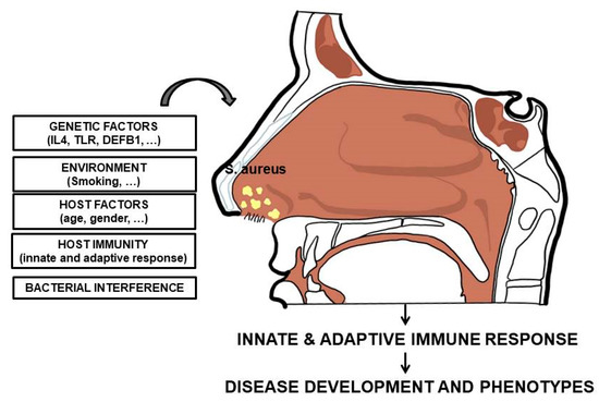 Staphylococcus aureus Nasal Carriage and Autoimmune Diseases: From ...