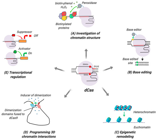 Dead Cas Systems: Types, Principles, and Applications