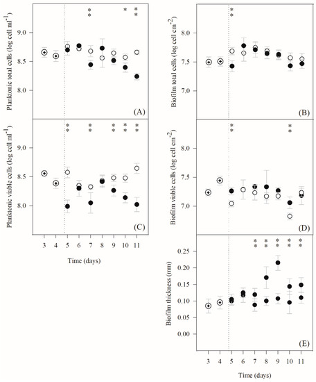 The Impact of IPTG Induction on Plasmid Stability and Heterologous ...
