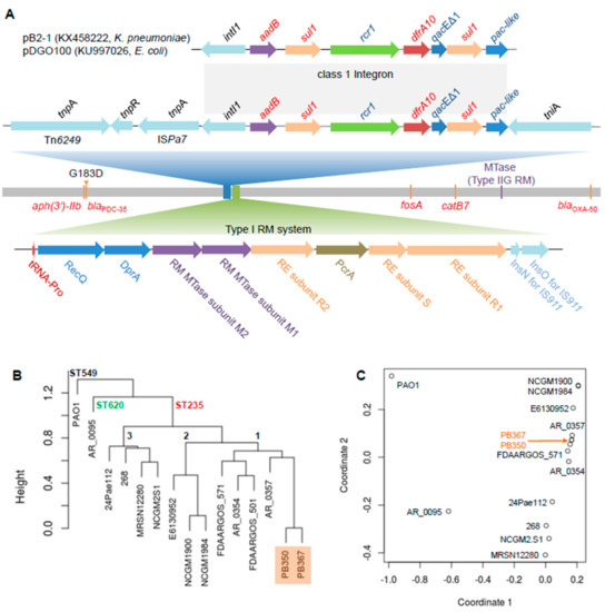 Integrated Genome-Wide Analysis of an Isogenic Pair of Pseudomonas ...