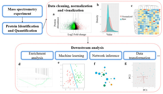 IJMS | Free Full-Text | Bioinformatics Methods for Mass Spectrometry ...