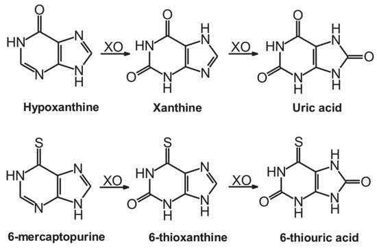 Inhibition of Xanthine Oxidase-Catalyzed Xanthine and 6-Mercaptopurine ...