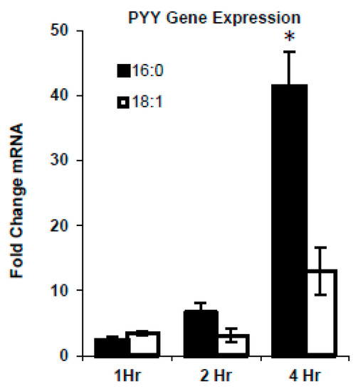 Free Fatty Acid-Induced Peptide YY Expression Is Dependent on TG ...