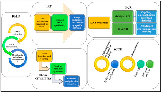 IJMS | Free Full-Text | The Role of DNA Degradation in the Estimation ...