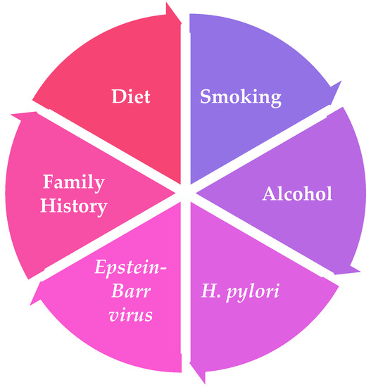 Gastric Cancer: Epidemiology, Risk Factors, Classification, Genomic ...