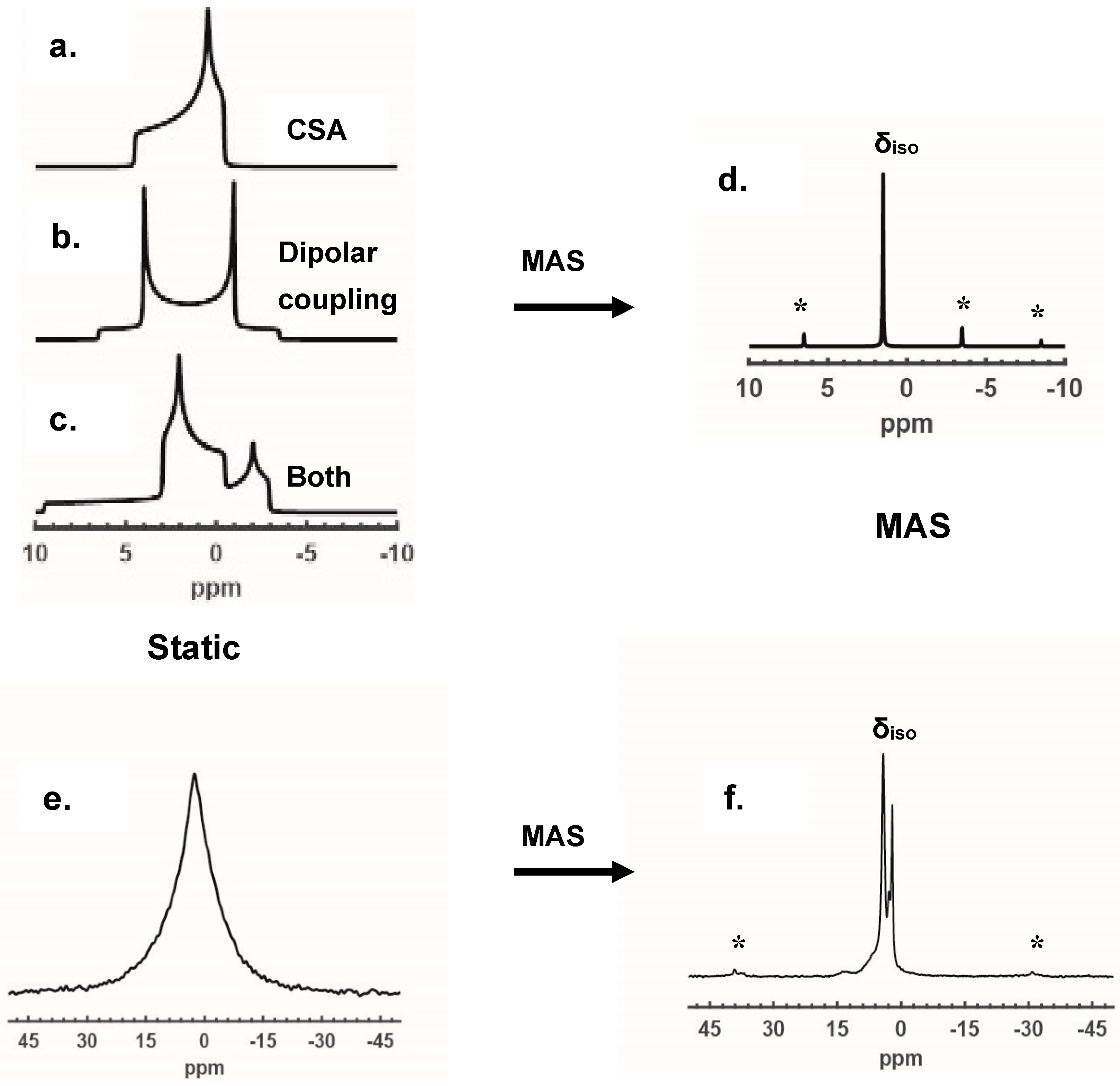 IJMS Free Full Text A Practical Review Of NMR Lineshapes For Spin 1 IJMS Free Full Text A Practical Review Of NMR Lineshapes For Spin 1