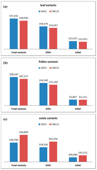Genome-Wide Development and Validation of Cost-Effective KASP Marker ...