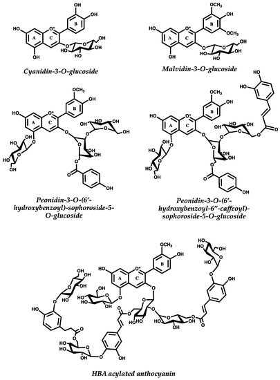 Exploring the Applications of the Photoprotective Properties of ...