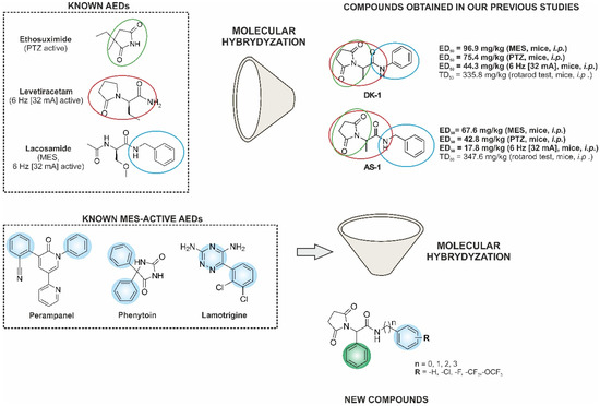 The Search for New Anticonvulsants in a Group of (2,5-Dioxopyrrolidin-1-yl)(phenyl)Acetamides ...