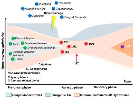 Bone Marrow Failure Syndromes, Overlapping Diseases with a Common ...