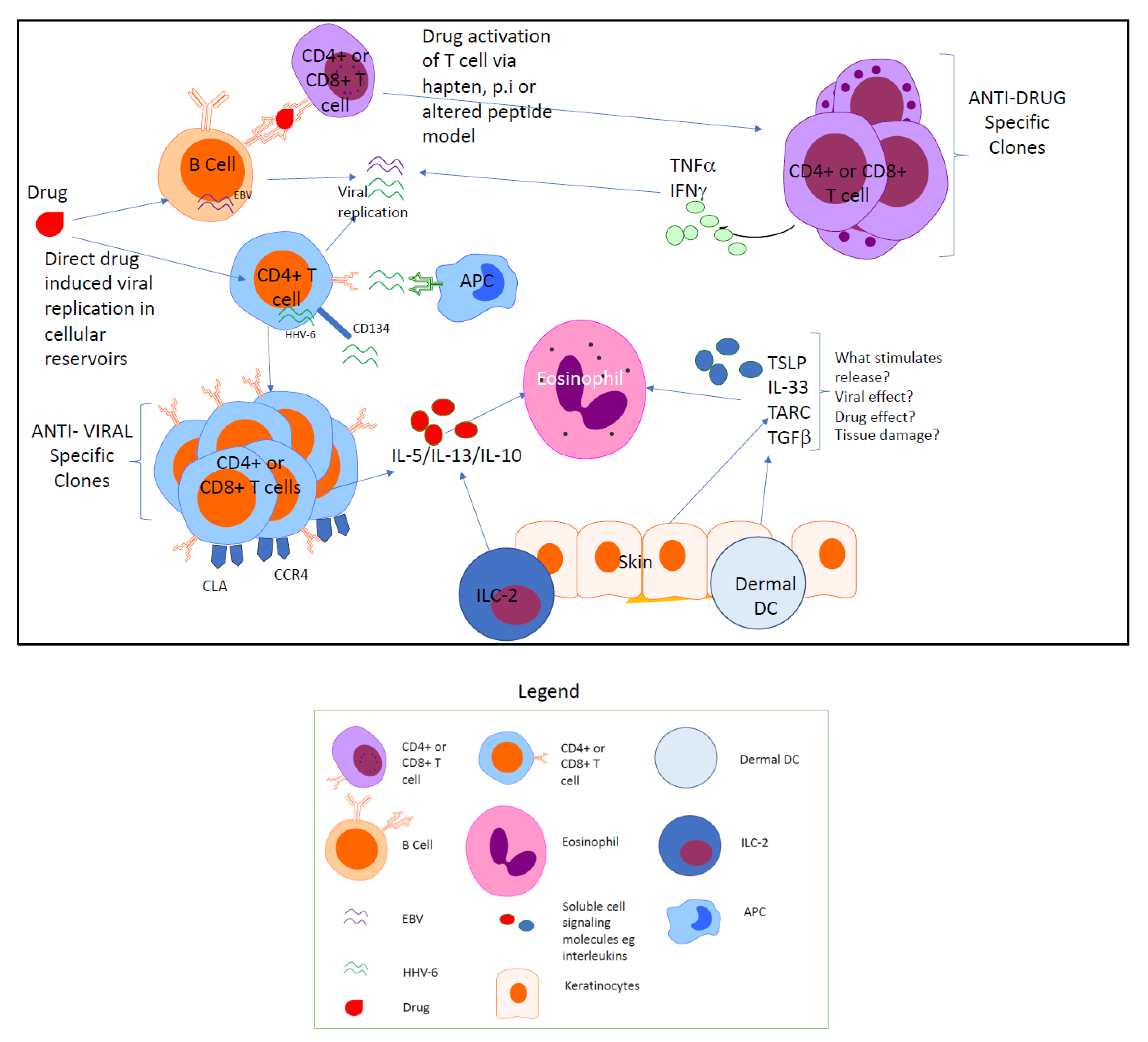 IJMS Free Full Text Drug Reaction With Eosinophilia And Systemic IJMS Free Full Text Drug Reaction With Eosinophilia And Systemic