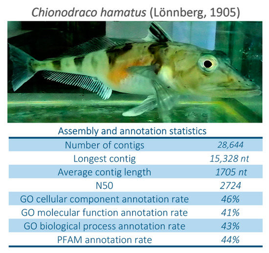Cold Adaptation in Antarctic Notothenioids: Comparative Transcriptomics ...