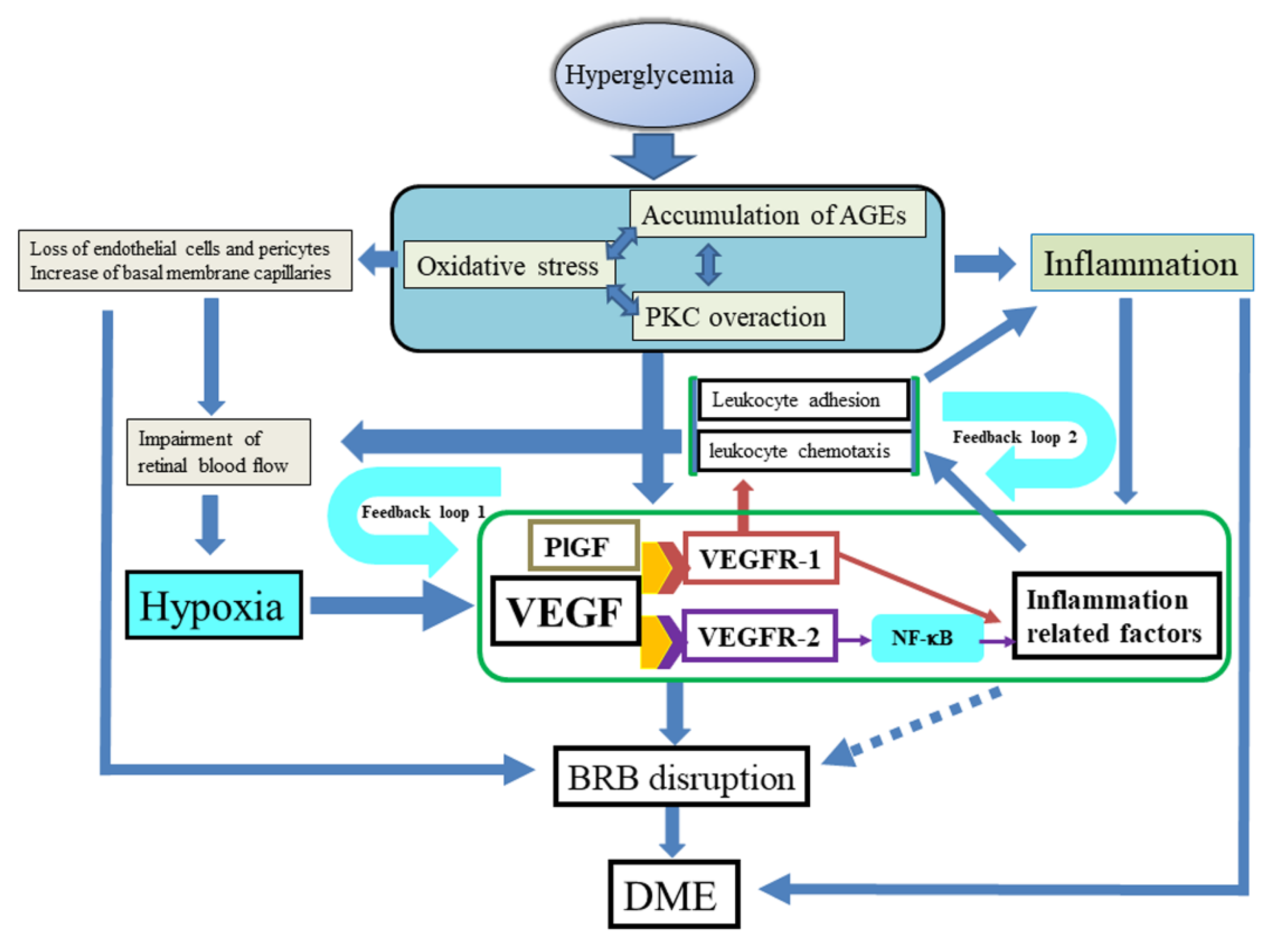 IJMS Free Full Text Involvement Of Cytokines In The Pathogenesis Of