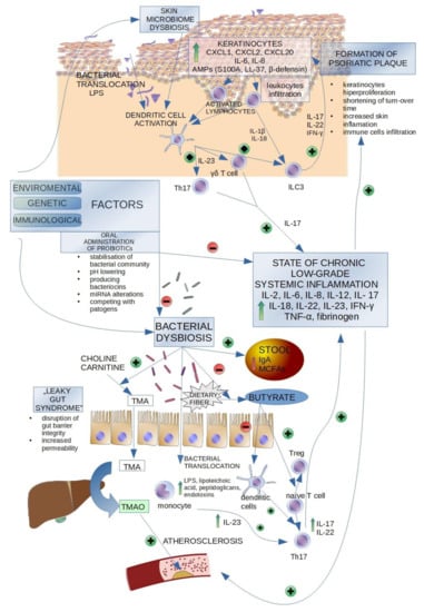 IJMS | Free Full-Text | Psoriasis and Gut Microbiome—Current State of Art