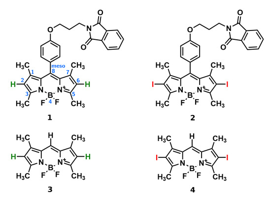 Photochemical Properties and Stability of BODIPY Dyes