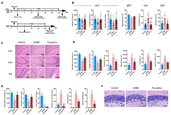 A Reliable High-Throughput Screening Model for Antidepressant