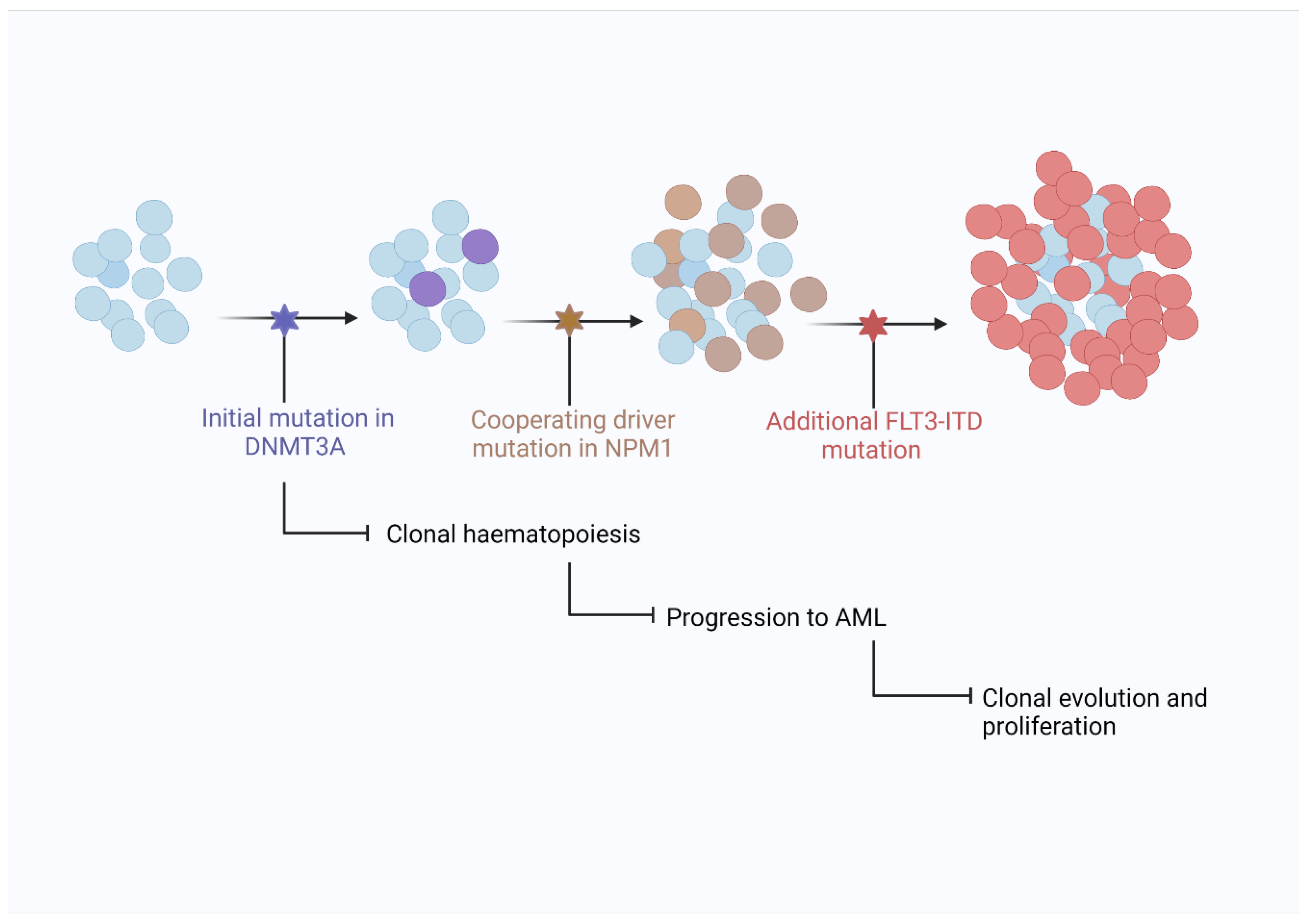 IJMS Free Full Text Significance Of NPM1 Gene Mutations In AML IJMS Free Full Text Significance Of NPM1 Gene Mutations In AML