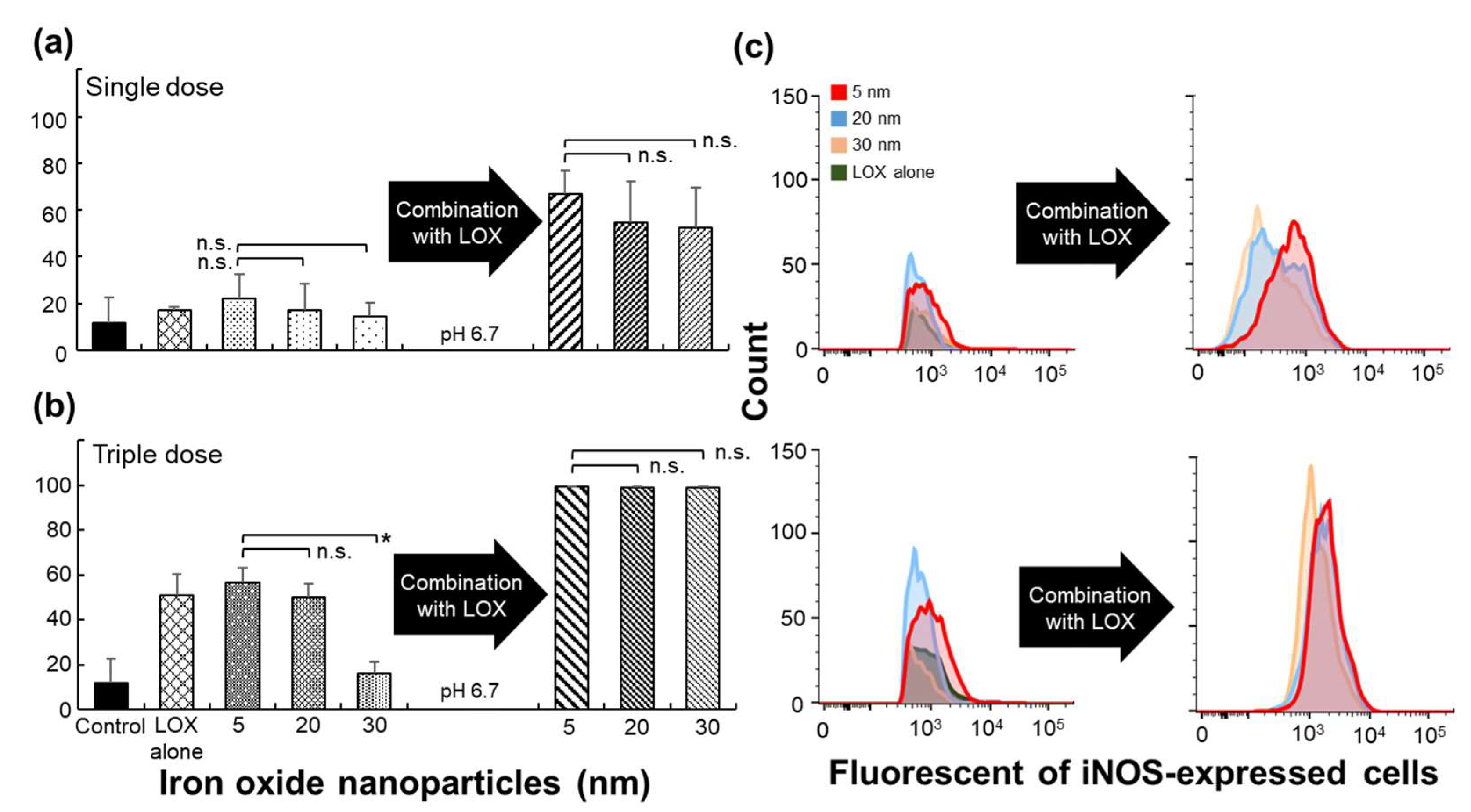 IJMS Free Full Text Synergistic Effect Of Repolarization Of M2 To IJMS Free Full Text Synergistic Effect Of Repolarization Of M2 To