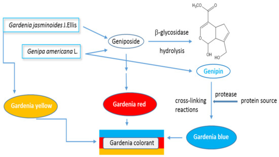 Novel Findings regarding the Bioactivity of the Natural Blue Pigment ...