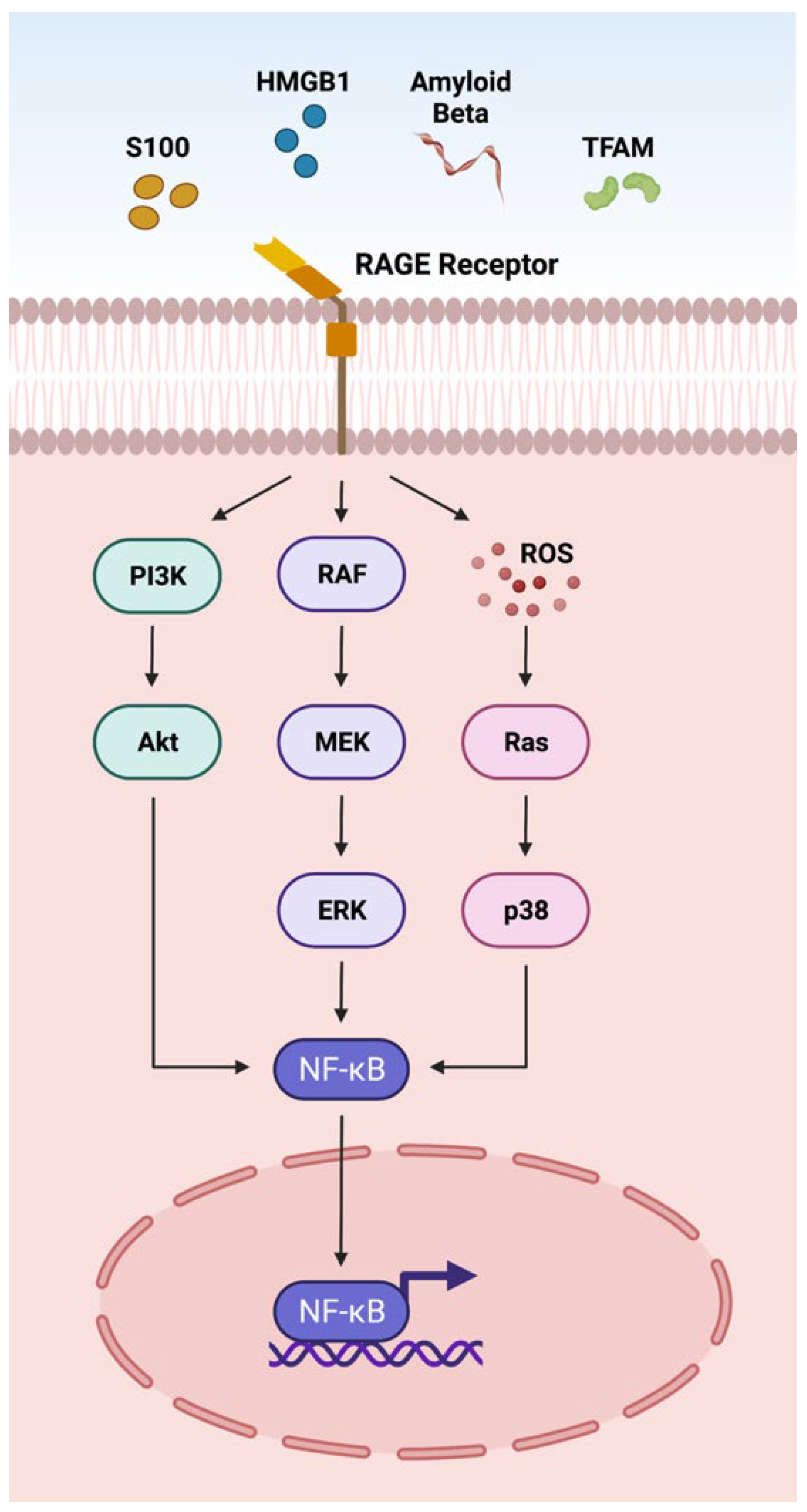 IJMS Free Full Text Damage Associated Molecular Patterns DAMPs In IJMS Free Full Text Damage Associated Molecular Patterns DAMPs In