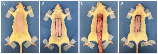 Current Status of Experimental Animal Skin Flap Models: Ischemic ...