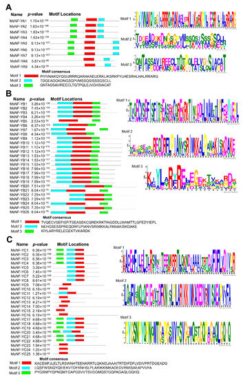 Genome-Wide Identification and Analysis of the NF-Y Transcription ...