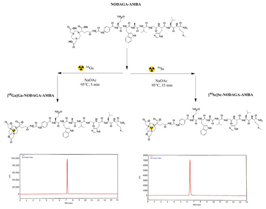 PET Probes for Preclinical Imaging of GRPR-Positive Prostate Cancer ...